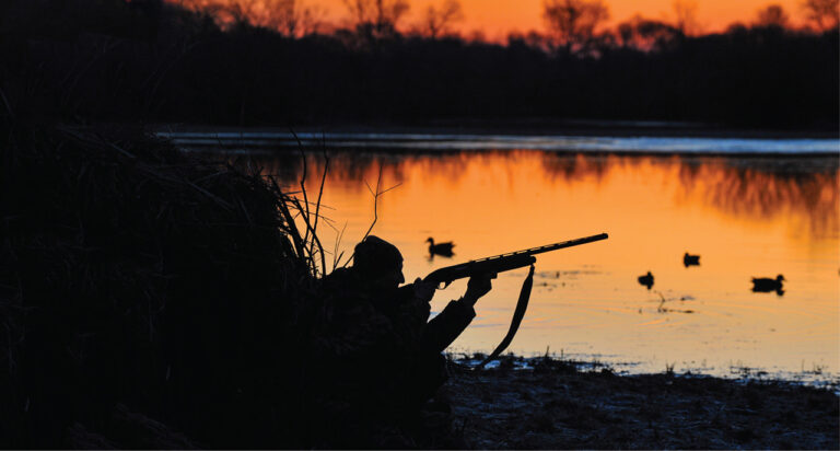 6 Reasons Why Hunting is Good For The Environment - 2024 Review ...
