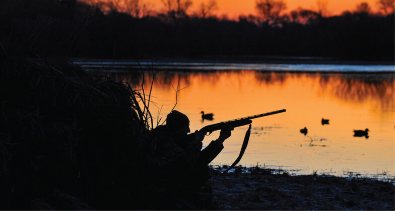 6 Reasons Why Hunting is Good For The Environment - 2024 Review ...