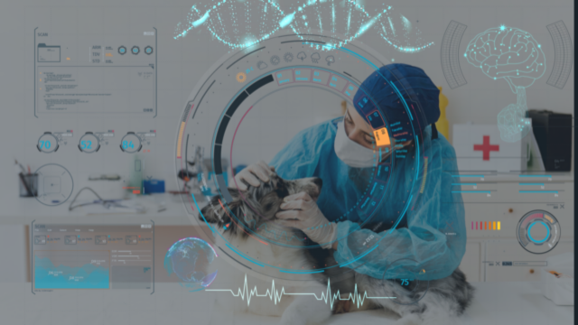 Technology in Veterinary Medicine: Transforming Continuing Education ...
